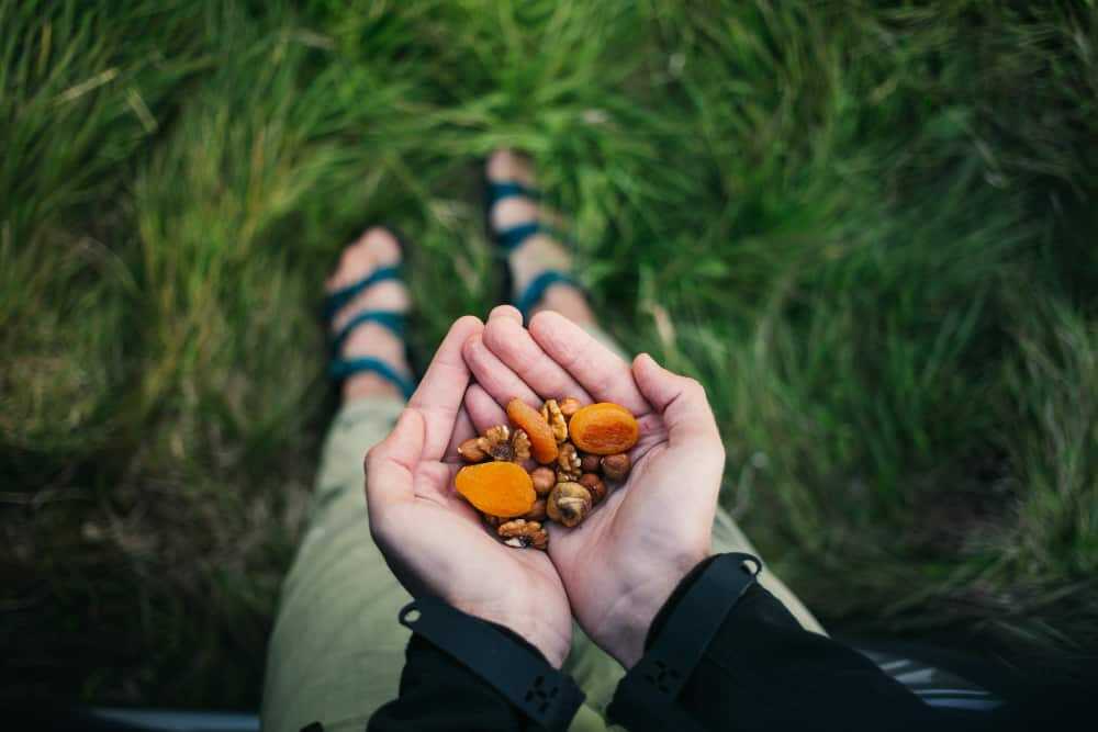 20 Insanely Easy And Tasty Hike Bars Recipes To Power Your Next ...